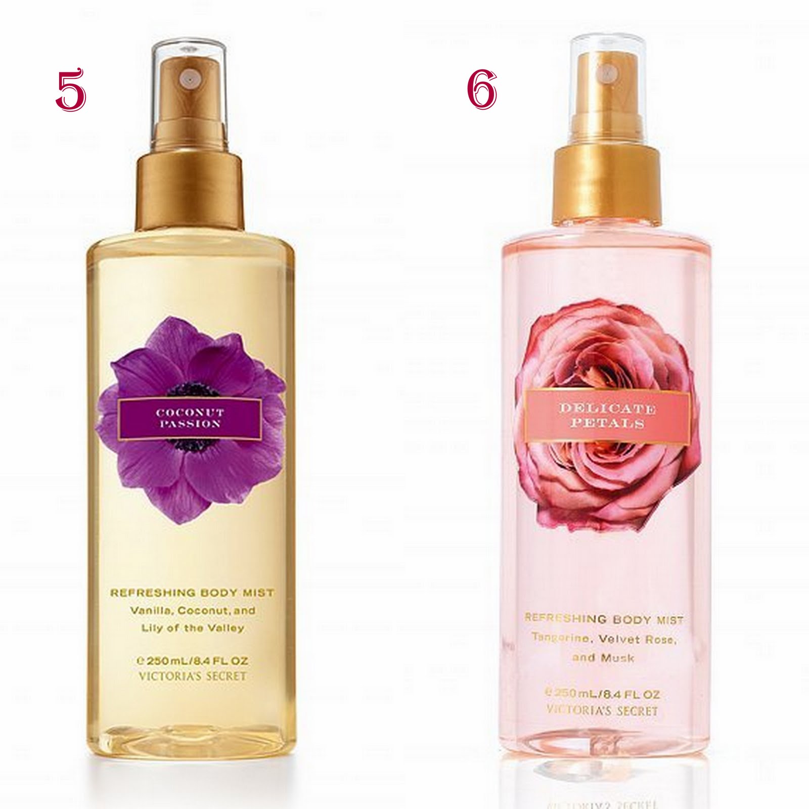 WHAT'S IN LYNN'S CLOSET?: VICTORIA SECRET - SECRET GARDEN