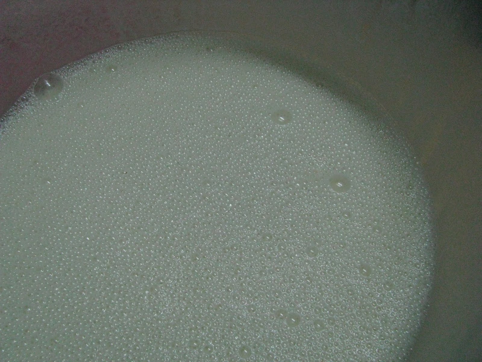 Millet Steamed Cake