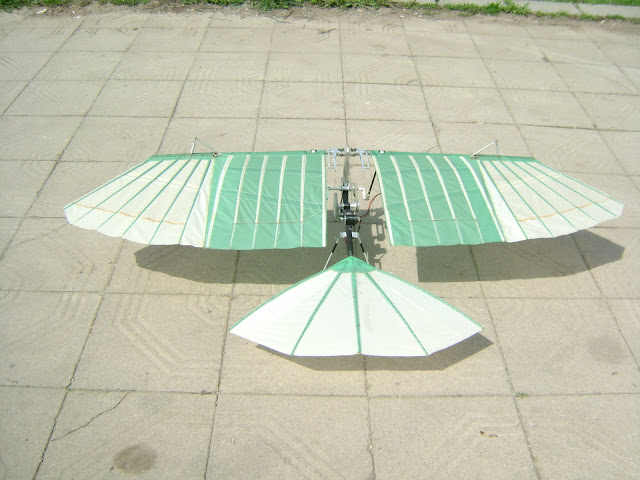 Flapping Wing: ADAPTIVE ORNITHOPTER WING