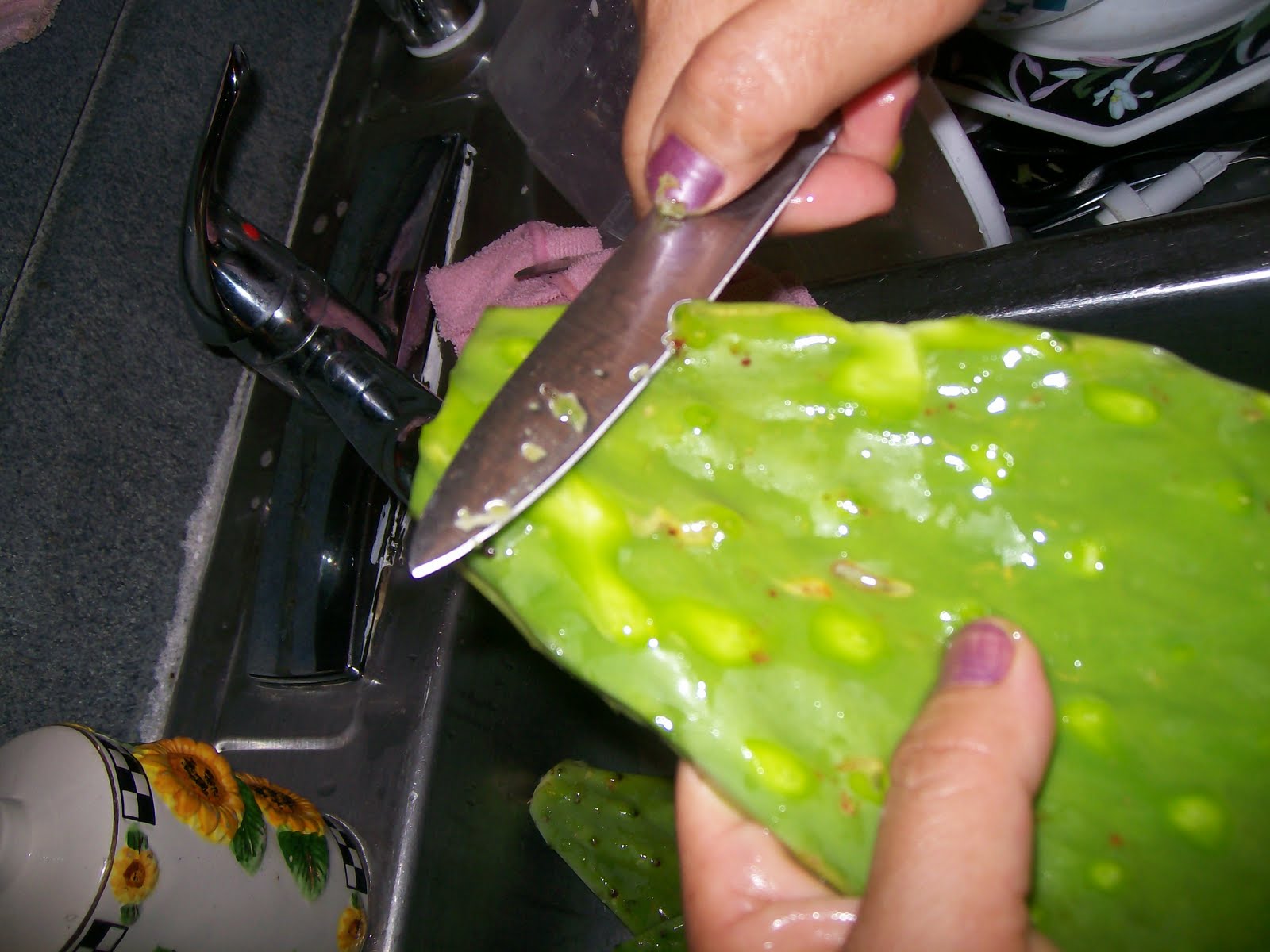 La Cocina De Nathan: Cuban, Spanish, Mexican Cooking & More: Nopales ...