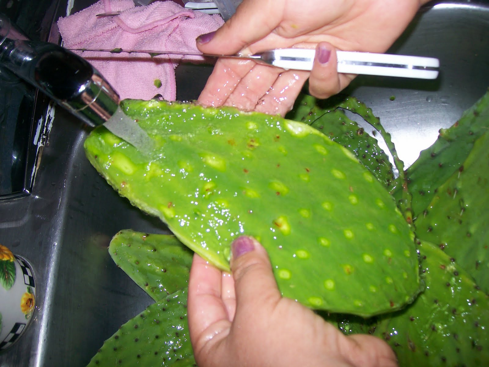 La Cocina De Nathan: Cuban, Spanish, Mexican Cooking & More: Nopales ...