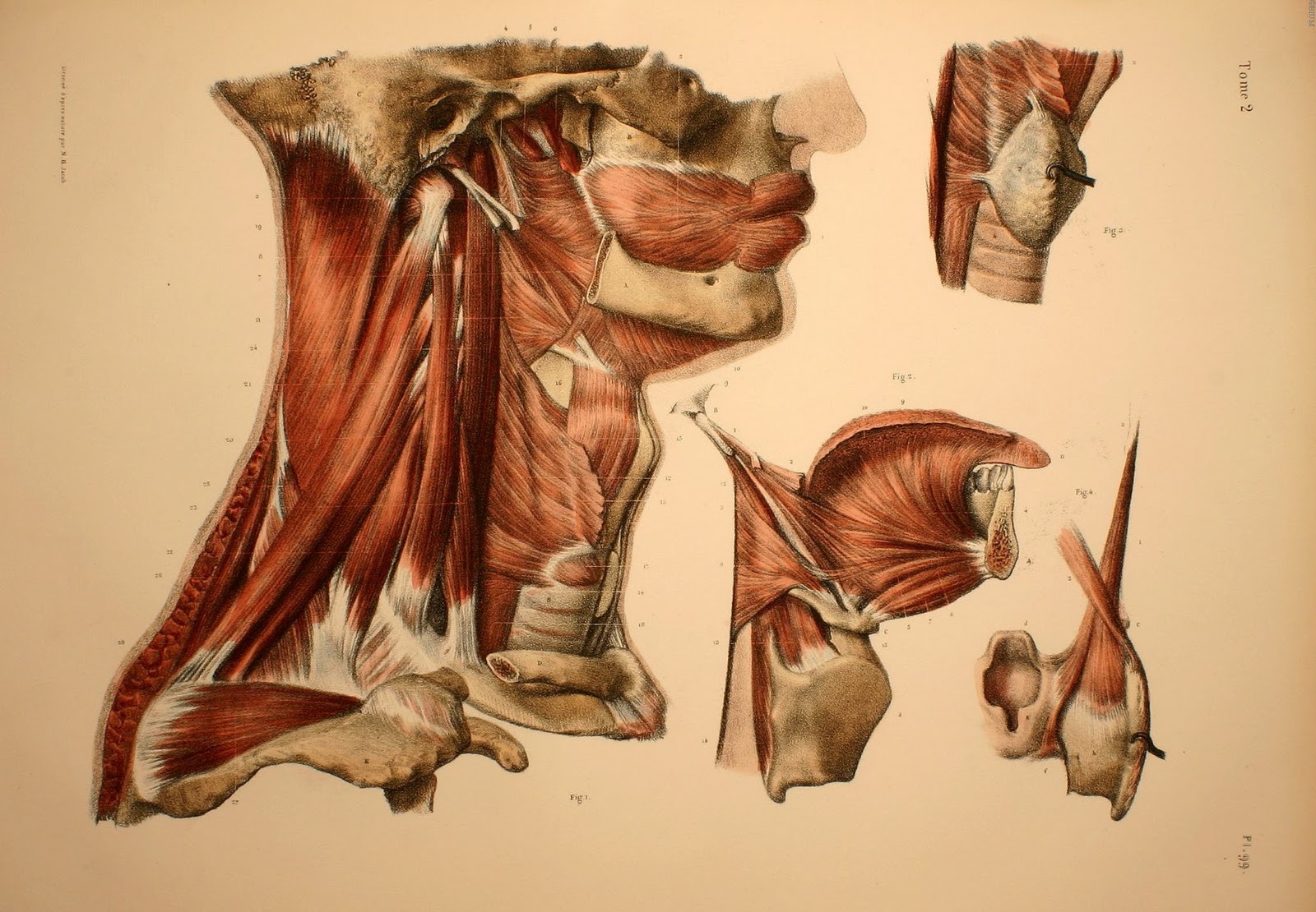 todos los movimientos