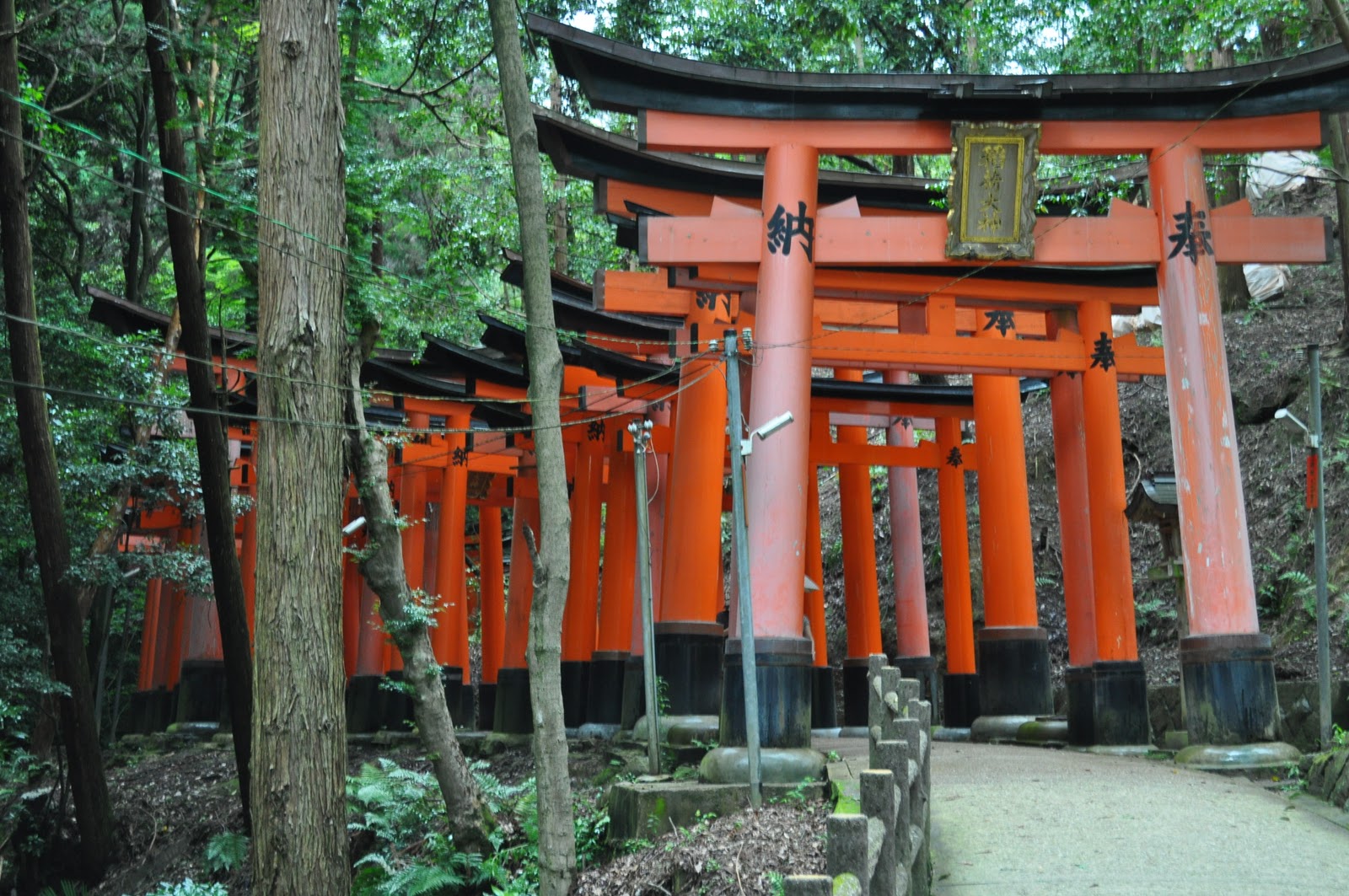 Exploring Japan: Kyoto Temples and Shrines