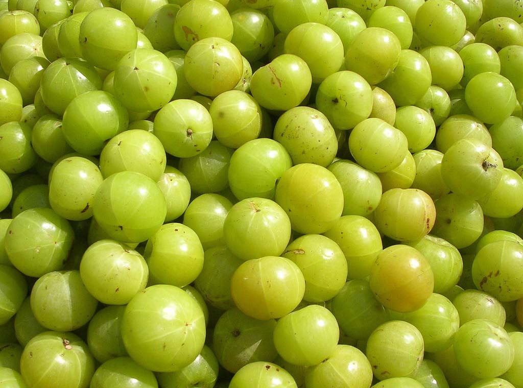 beauty of the world, the beauty of my world: Amazing and odd fruits ...
