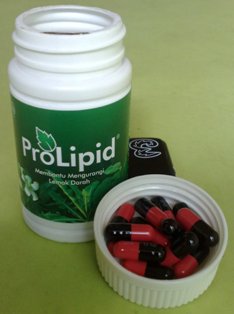 ProLipid, obat lemak dalam darah