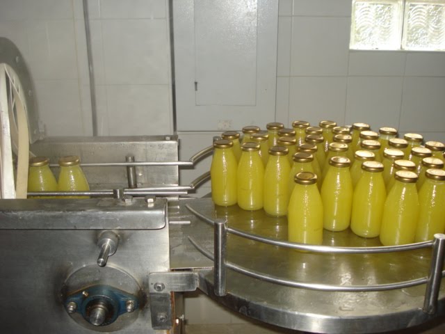 NECTAR DE CHOLUPA HIPOCALORICO