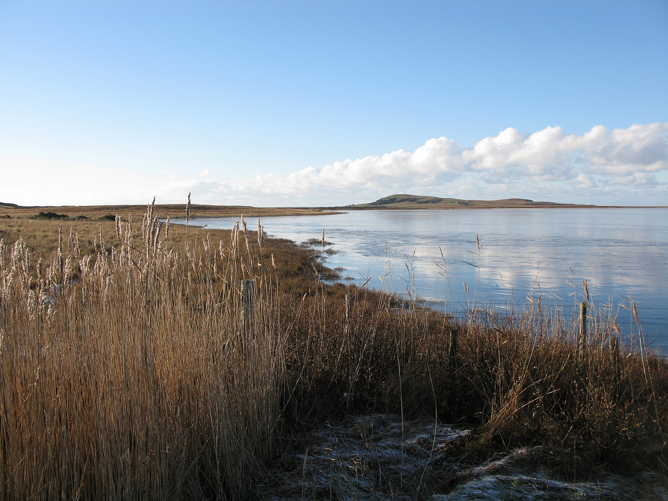 Islay Natural History Trust: Loch Gorm
