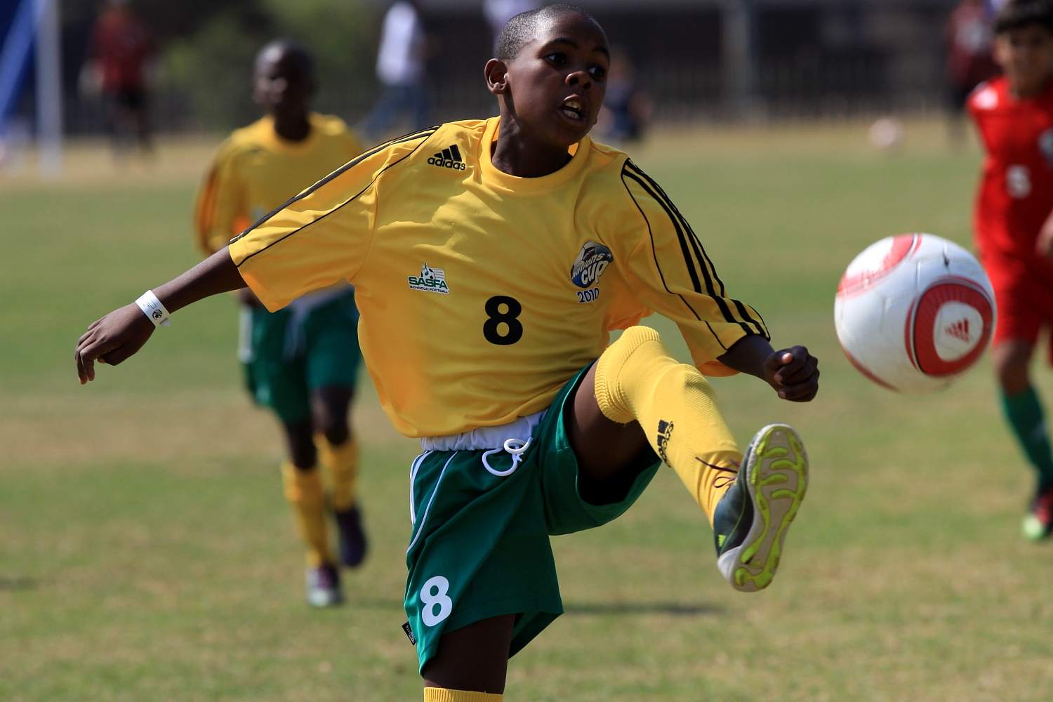 Intune Communications and Entertainment: South Africa Gets into the ...
