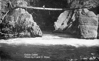 Goblin Gates - The Last Wilderness