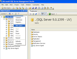 Libyan Developer: SQL SERVER 2005-Error 4046 Cannot open user default ...