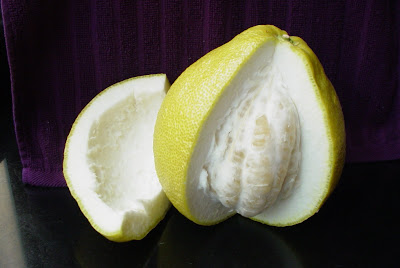 The Avery Adventure: The Pomella