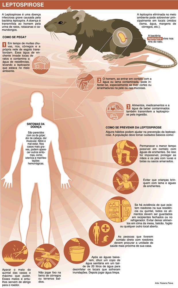 INFOGRÁFICO: LEPTOSPIROSE ~ Medicina UnP