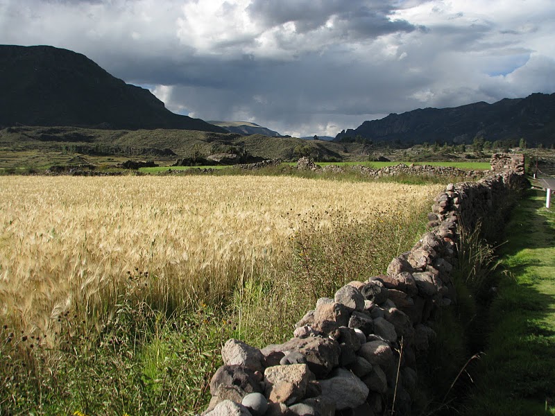 latino trip: Kondory kraza nad kanionem Colca