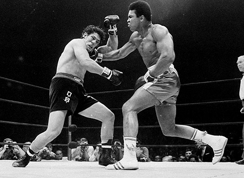 Ali's Greatest Hits ! - BoxRec