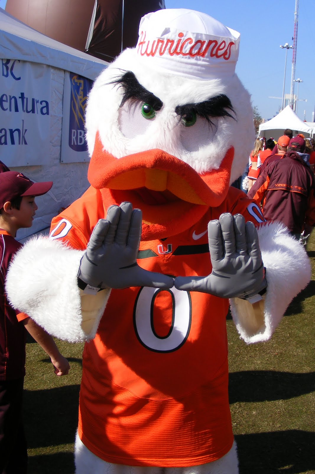 the Monk zone: Sebastian the Ibis (bird/Miami mascot)