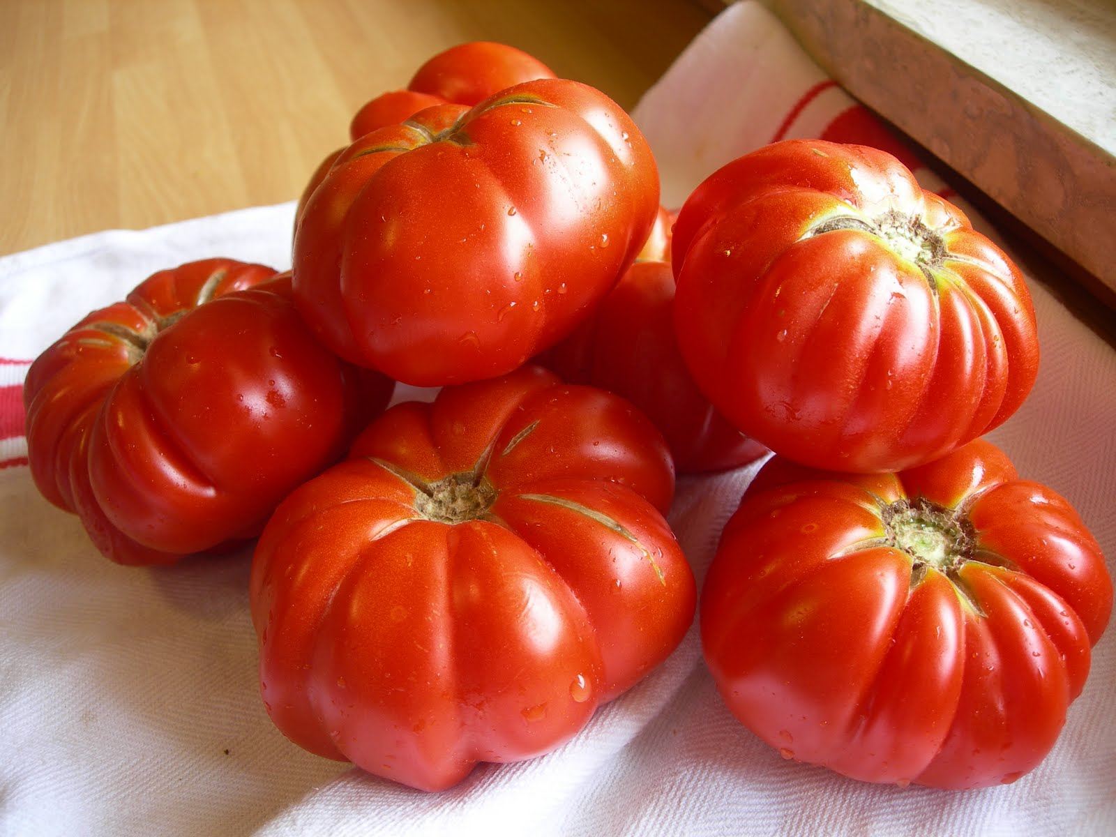 Focaccia al Rosmarino: Italian Tomato Soup