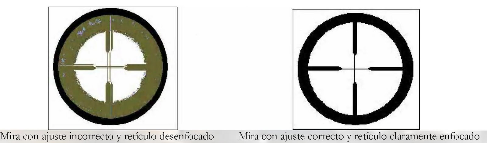 Caza y tiro con aire: Calibración de la Mira en Field Target Pt.1