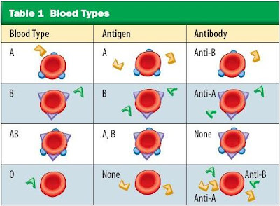 Biomedical Engineering: FUNCTIONS OF BLOOD