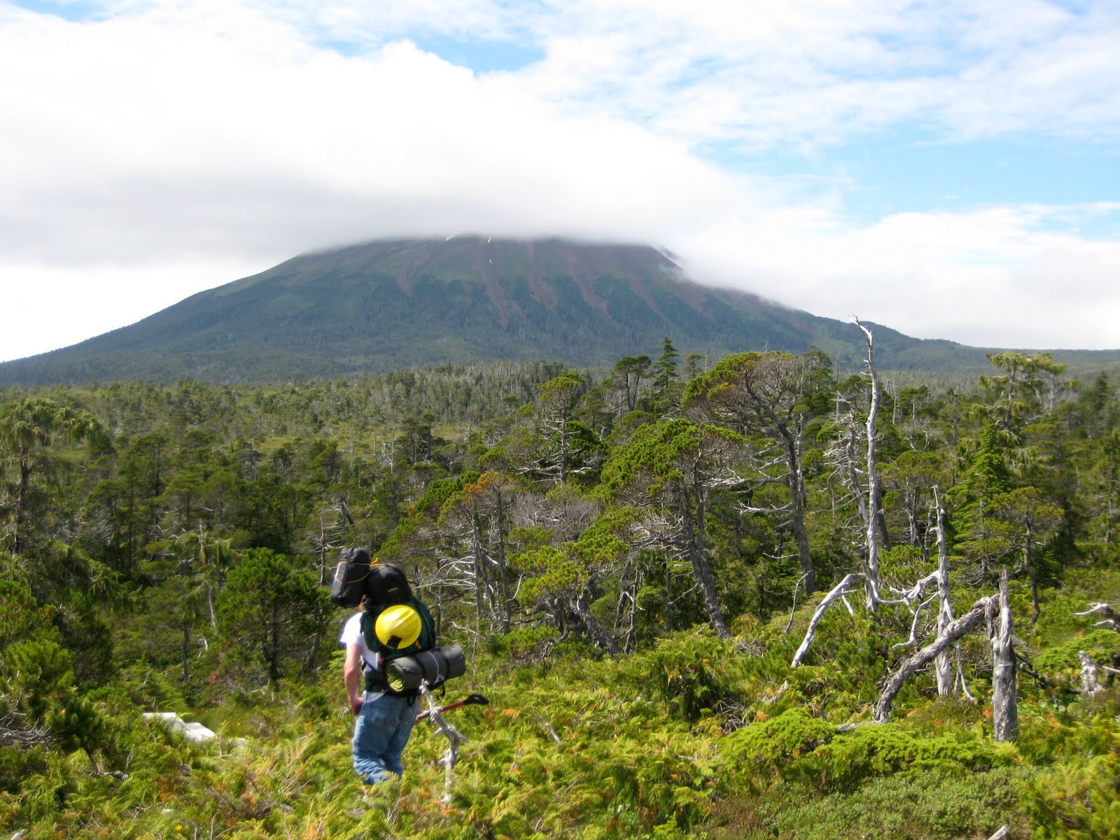 a walk in the woods: Mt. Edgecumbe Trip