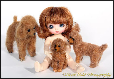 Collecting Fashion Dolls by Terri Gold: Welcome Puki Puki Madeleine!