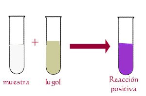 Proyecto Integrado: SEGUNDA EVALUACIÓN