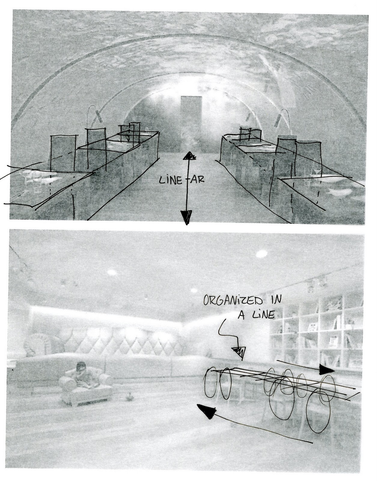 D.esign is for everyone.: Form Space + Order [Study Series]