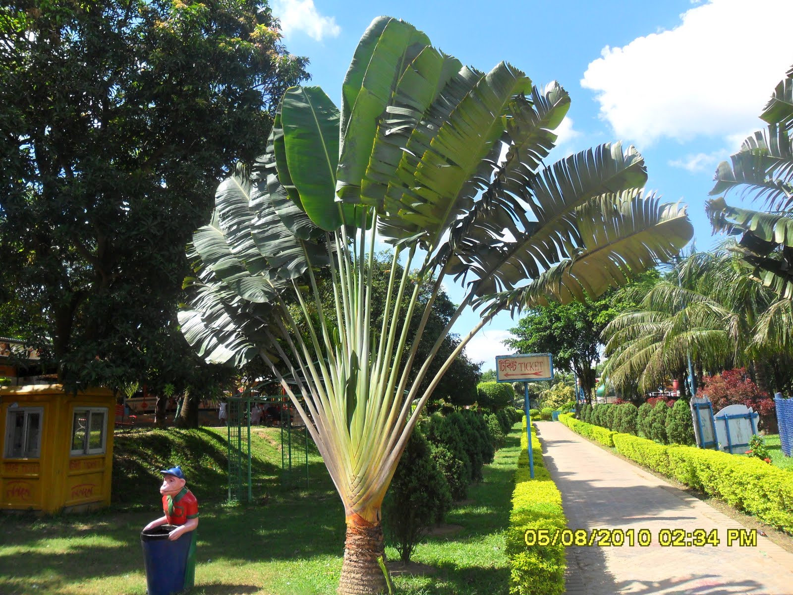 PHOTOGRAPHY OF BANGLADESH: NANDAN PARK