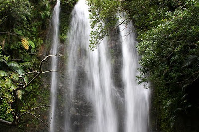 Visiter Okinawa Japon : Tadake Falls : le Jurassic Park