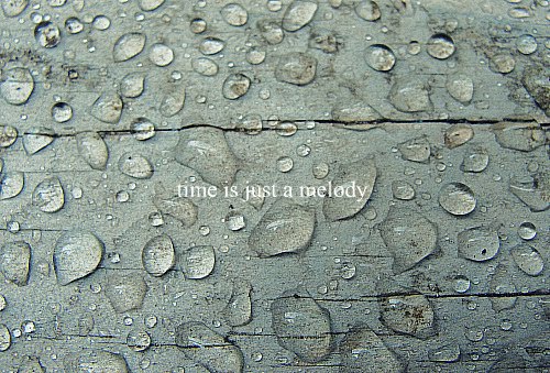 Honeybee Lane: yesterday it rained