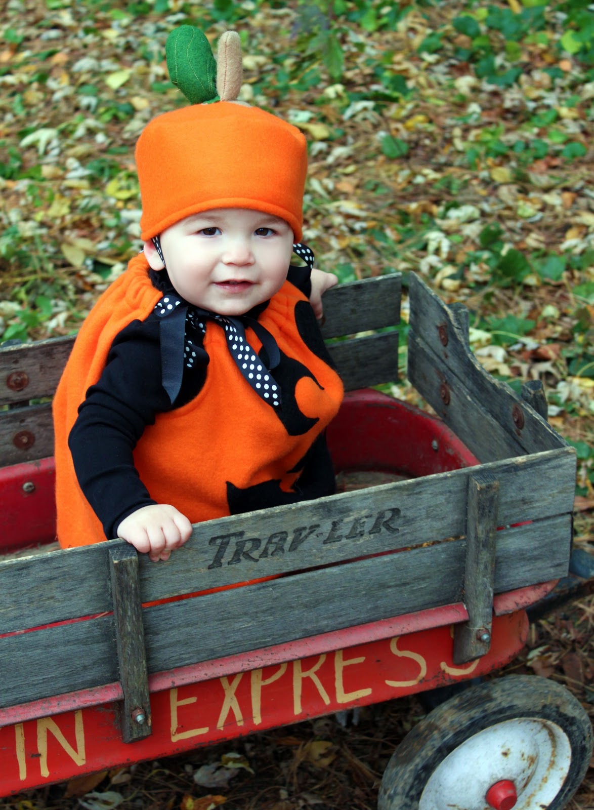 Two Little Pumpkin Heads - The Cottage Mama