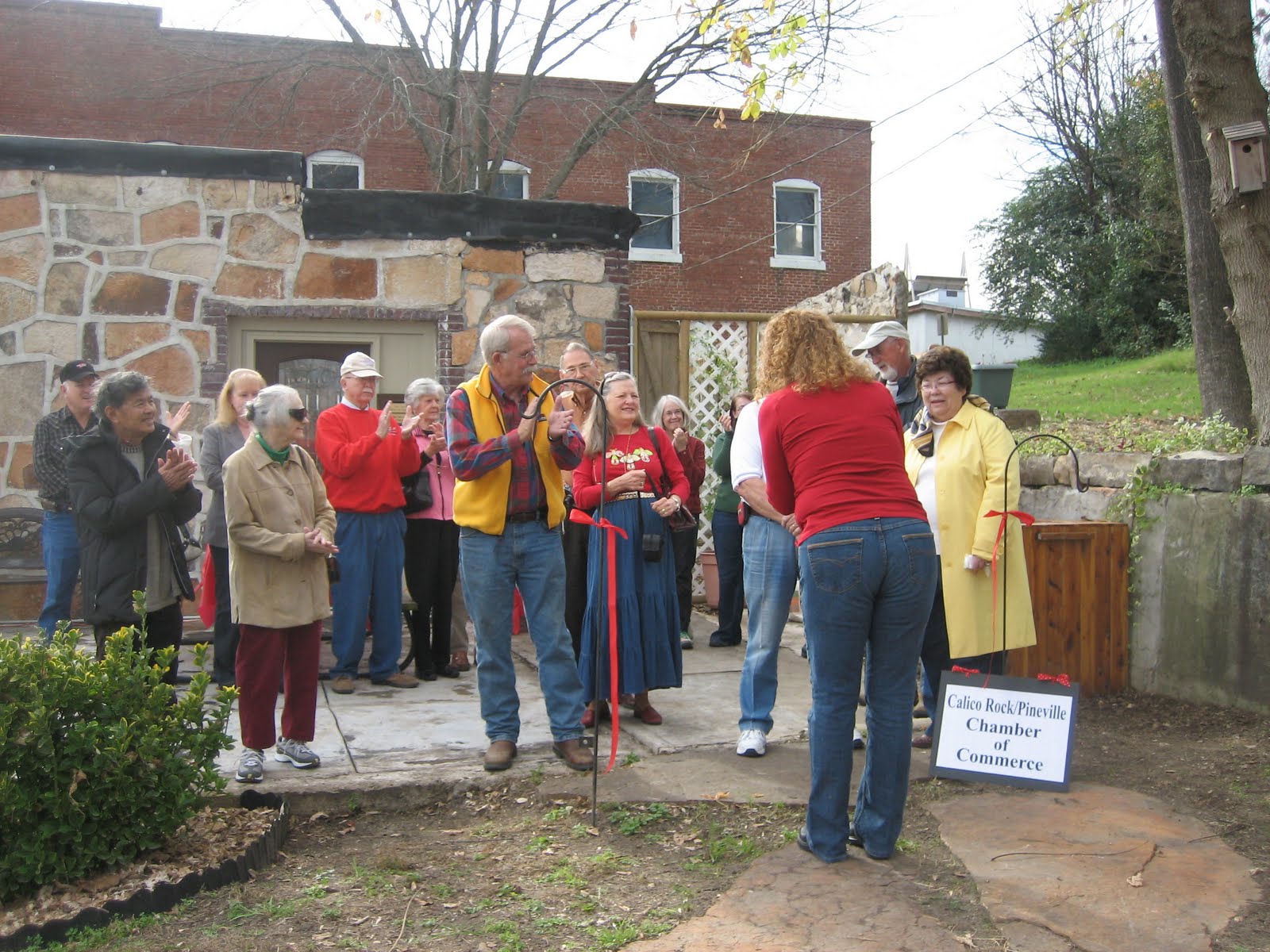 Calico Rock on the White River: November 2009