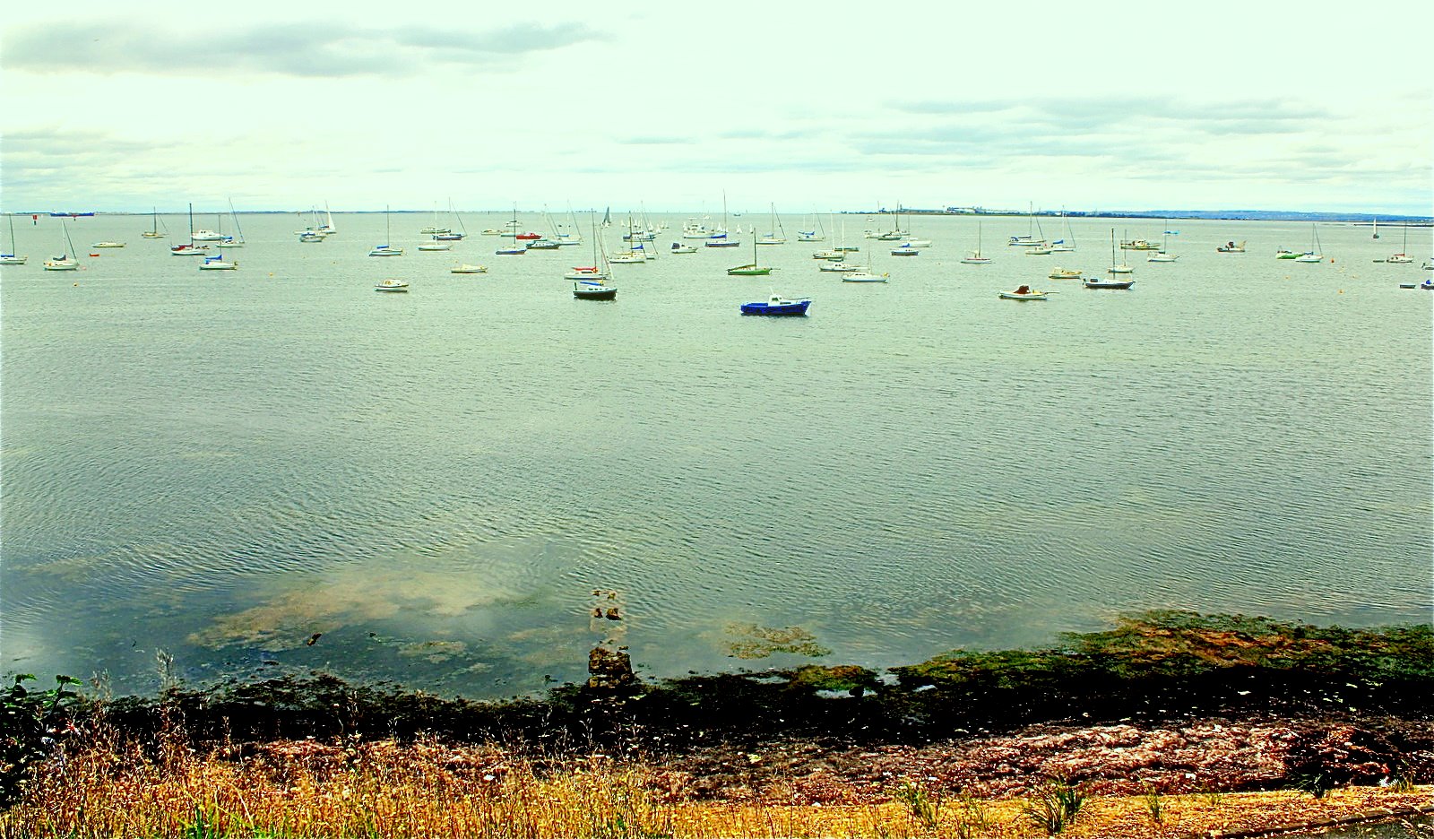 My Melbourne Experience, and beyond: along the shores of corio bay ...