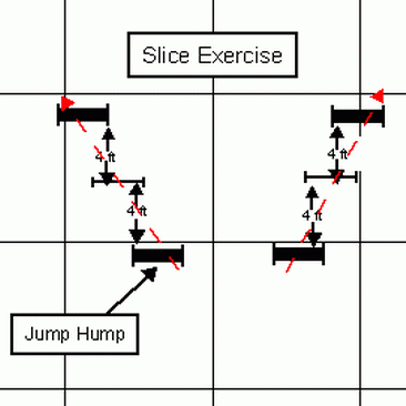 Raven, Cypher & Spryte - An Agility Blog: Cathy Slot Jumping Weekend