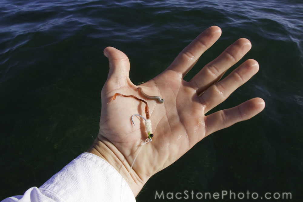 Mac Stone Photography Blog: Palolo Hatch