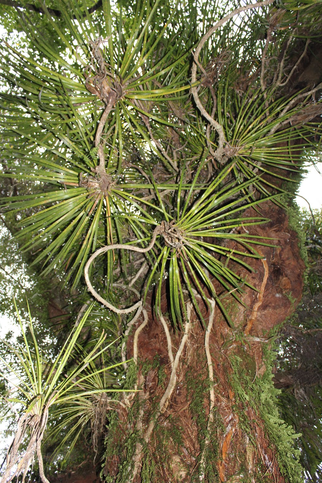 Bob McKerrow - Wayfarer: July 2010