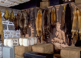 Special: The Fur Trade
