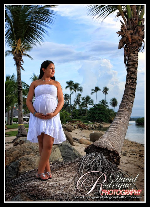 David Rodríguez Photography