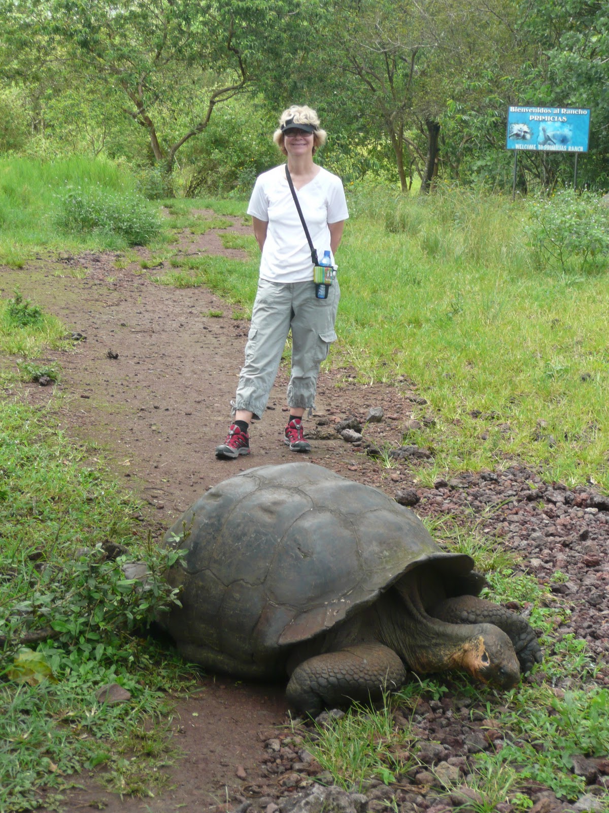 Julie & Harold Head to Ecuador: Galapagos Tortoises and Evolution
