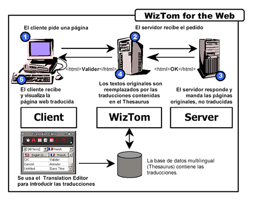 Master Mind ( La Web y Html): FUNCIONAMIENTO DE LA WEB