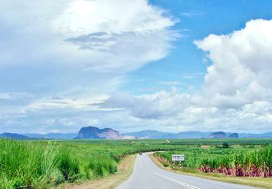 Fazemy: Ini Chuping Ladang Tebu Terbesar Kat Malaysia, bukan cuping ...