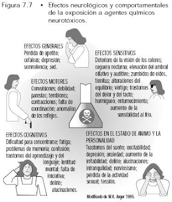 AGENTES QUIMICOS NEUROTOXICOS (II) | Salud y Seguridad Industrial