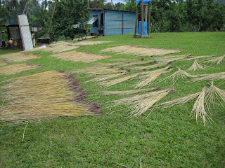 Melissa is in Fiji!: Kuta