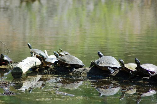 BBI Mock Draft DISCUSSION Thread | Big Blue Interactive