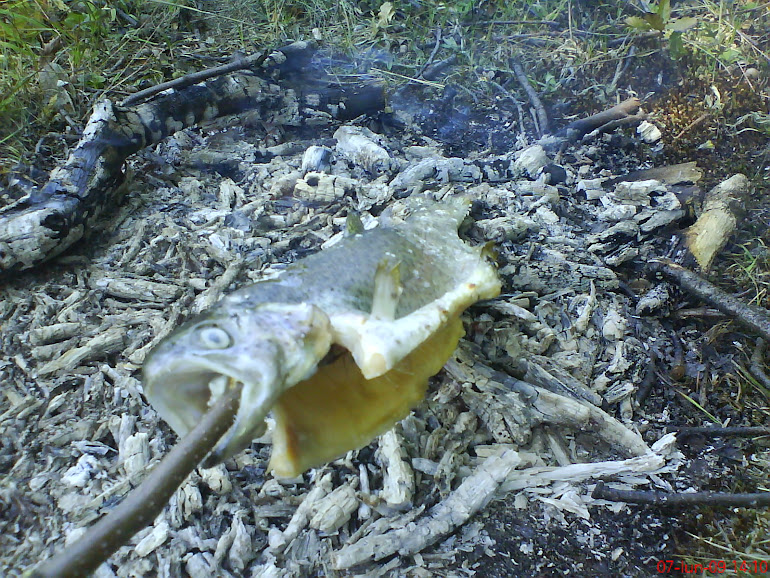 Retete cu peste: hering prajit