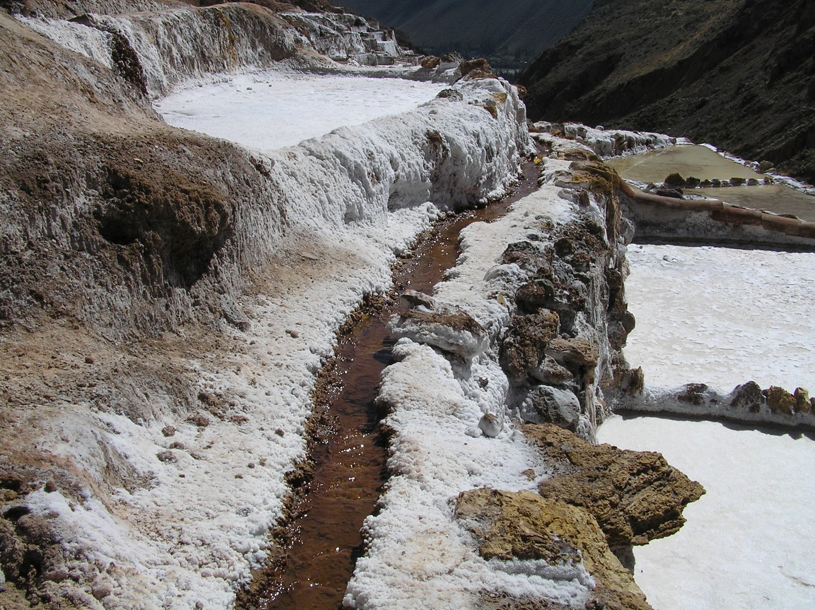 A lifetime of crazy, fun and unique adventures!: The incredible Inca ...