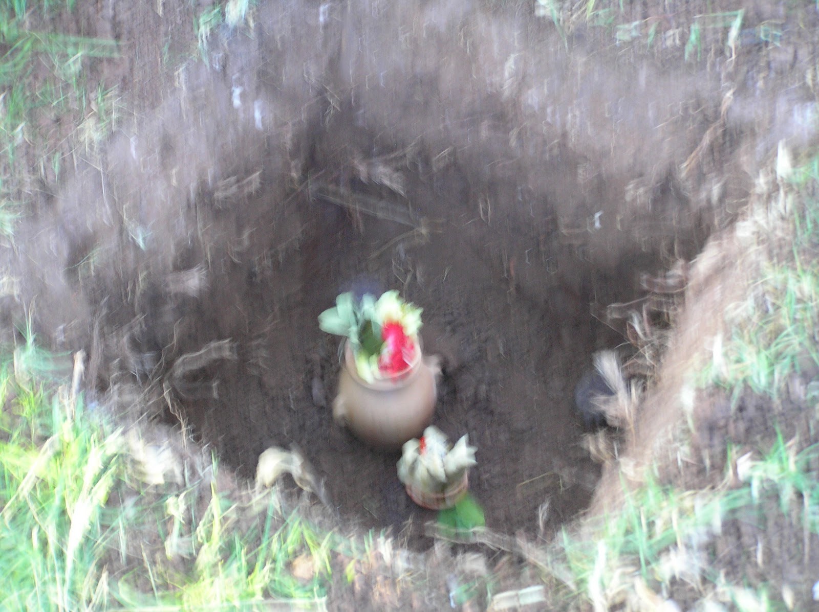 A lifetime of crazy, fun and unique adventures!: Pachamama Despacho ...