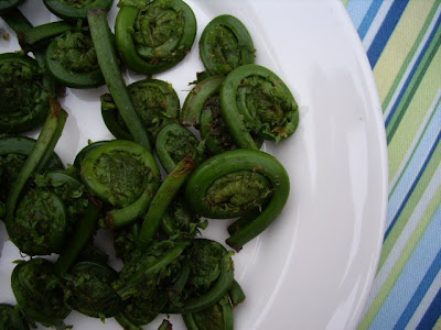 Desde la cocina en Montreal: Têtes de violon / Fiddleheads