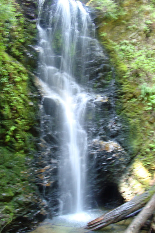 Hiking To Heaven: Big Basin Water Falls Hike