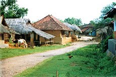 Customs of the Santhal Tribes:The Santhals follow their own customs ...