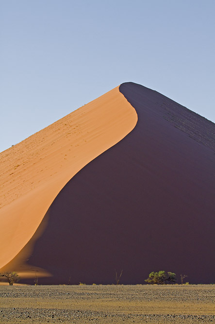 NAMIBIA: Red Dunes